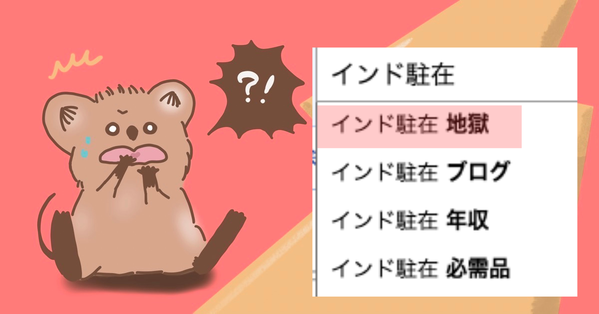 2025年版【地獄のインド駐在】日本から持って行くべき必需品を項目別に紹介！ | ナマステ、インド駐在記｜みししっぴの旅するブログ